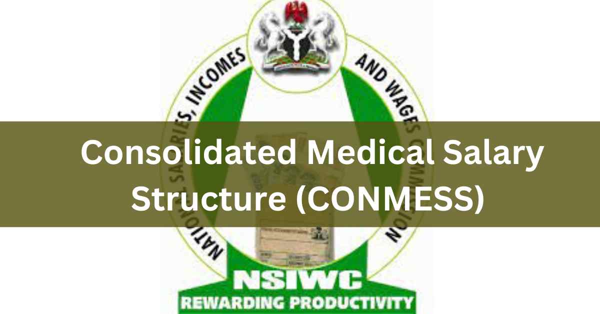 Consolidated Medical Salary Structure (CONMESS) in Nigeria (+PDF ...