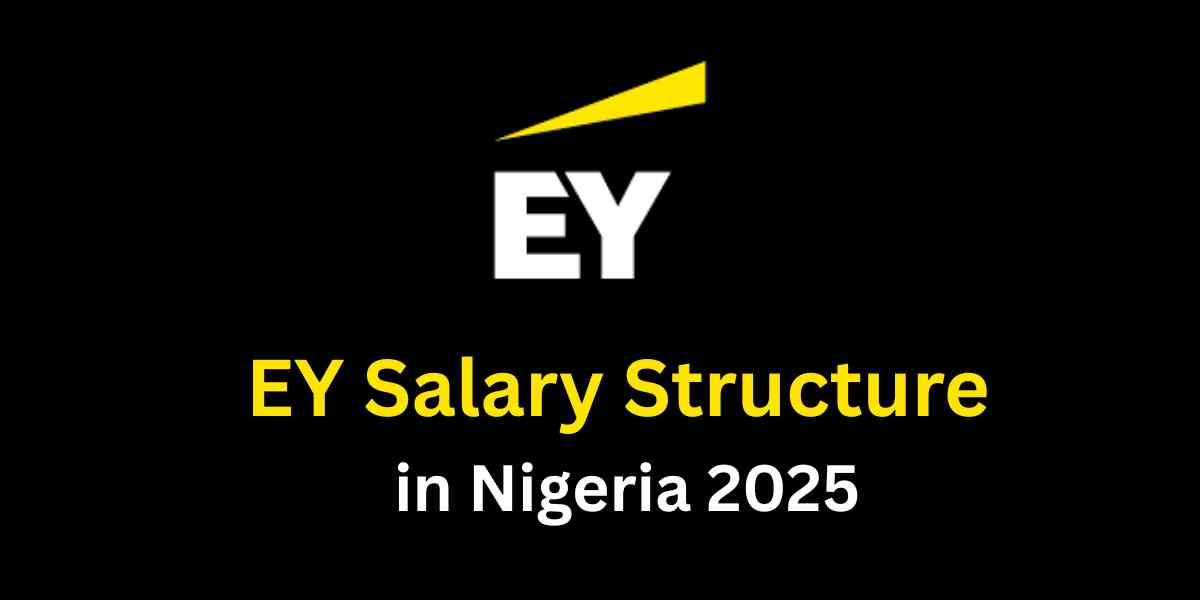 EY Salary Structure in Nigeria 2025 (Ernst & Young Global Limited) - OgaJob
